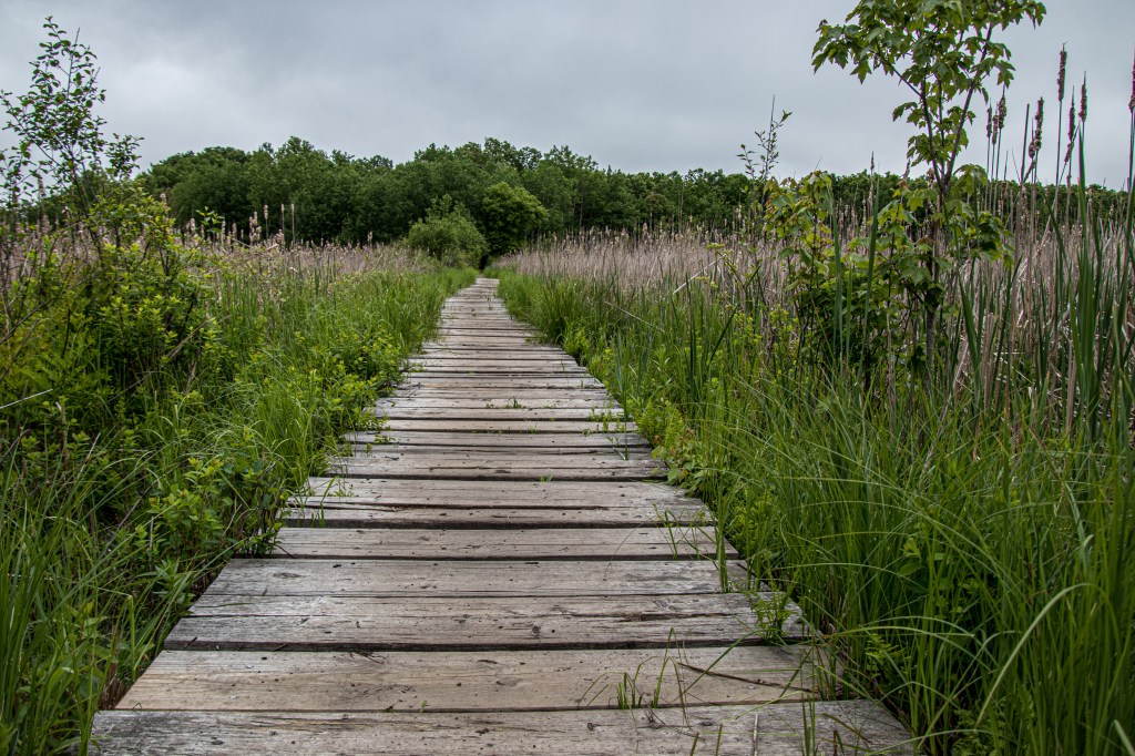 Cutler Park Reservation (Needham, MA) – Hidden New England