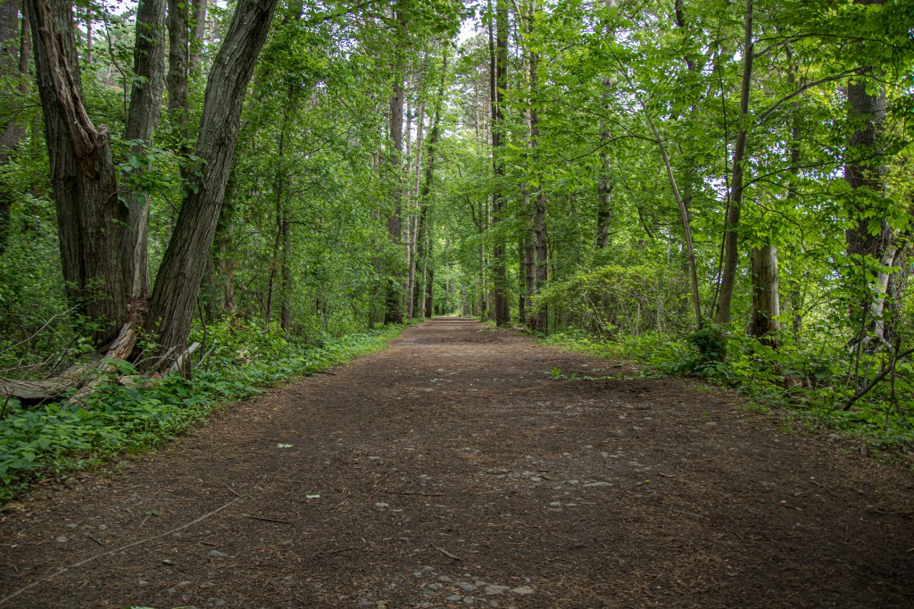 Cutler Park Reservation (Needham, MA) – Hidden New England